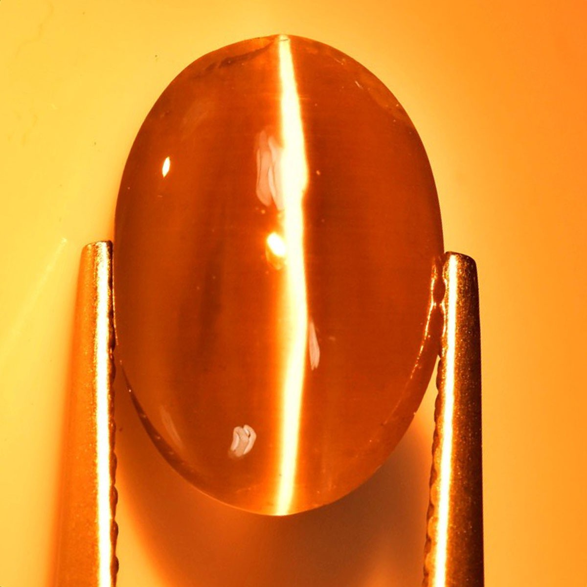 Exclusive Gemstone & Gold Nugget Auctions - NextGen Auctions